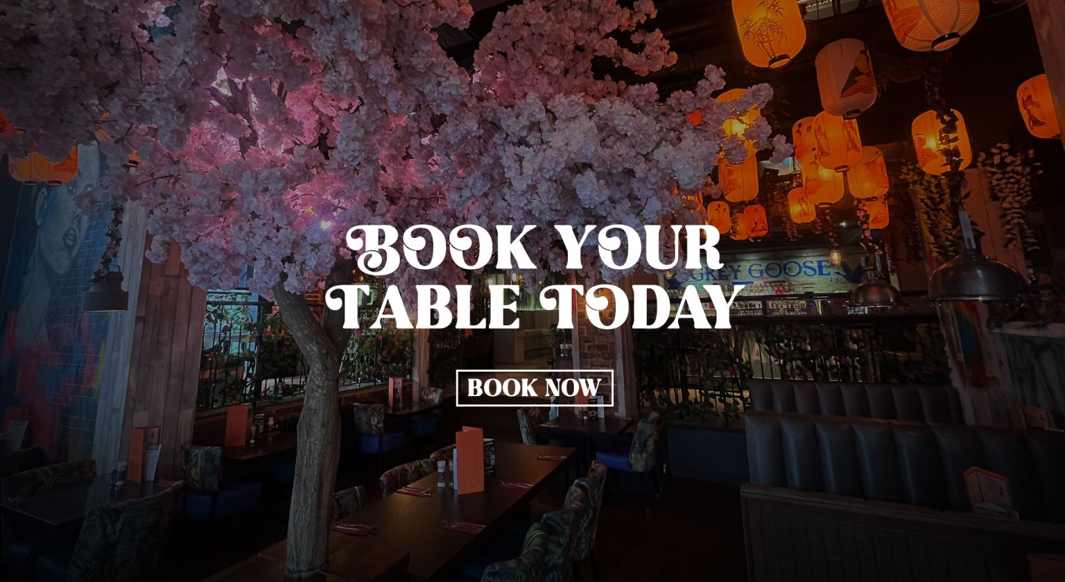 Geisha Fusion Restaurant